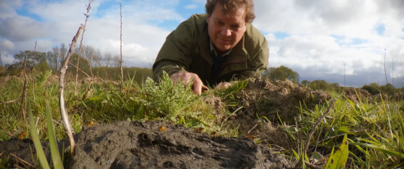 “We have presided over a period of real destruction and we need to ...